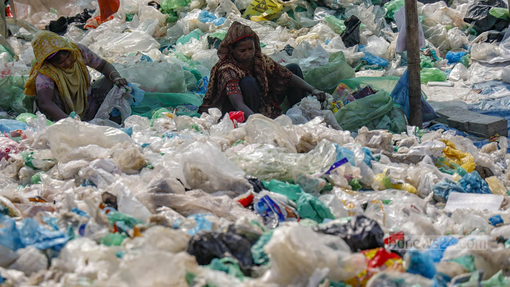 Unsung heroes of conservation