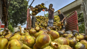 bdnews24.com - Bangladesh largest news publisher by reach - 24/7 ...