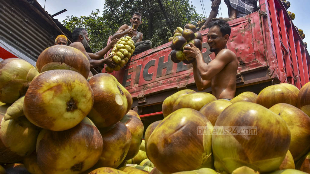 bdnews24.com - Bangladesh largest news publisher by reach - 24/7 ...