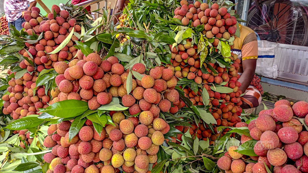 Dinajpur lychees hit the market