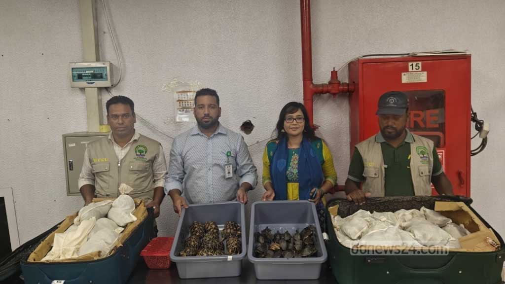 925 turtles rescue at Dhaka airport in wildlife trafficking bust