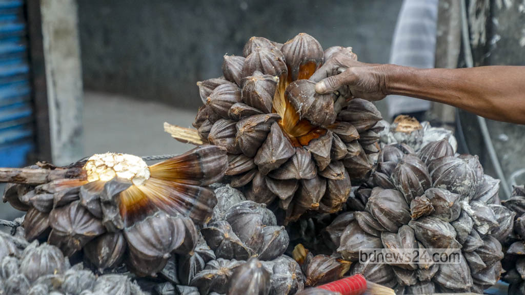 Nipa Palm fruit in Dhaka