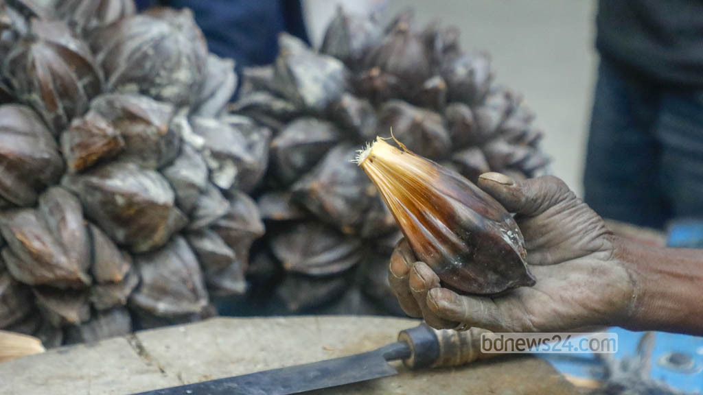 Nipa Palm fruit in Dhaka