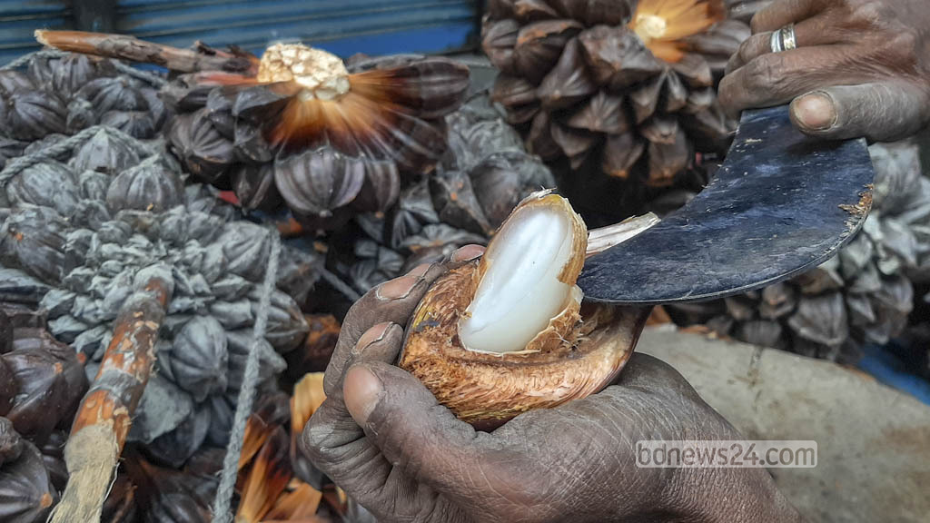 Nipa Palm fruit in Dhaka