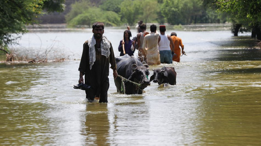 Can Pakistan break cycle of destruction in flood rebuilding?