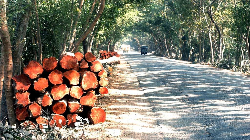 As Kalna bridge is set to open, transport workers call for an expanded road