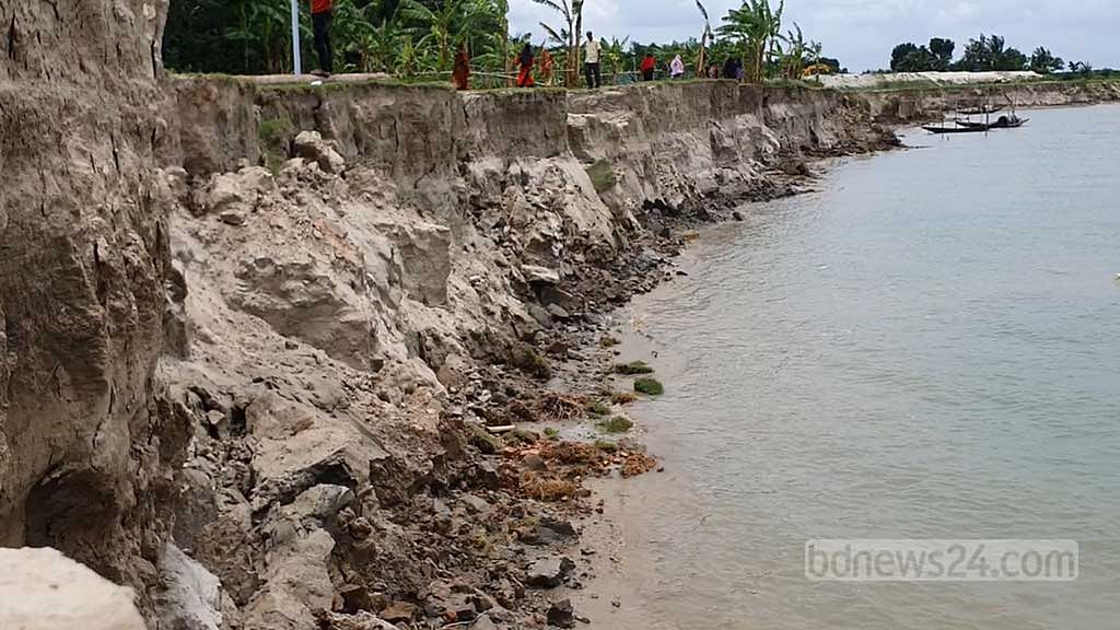 Villagers in despair as Padma, Madhumati rivers erode Faridpur farmlands
