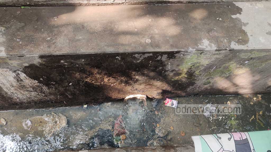 Mayor Atiqul’s banana tree campaign to block blackwater sees little progress