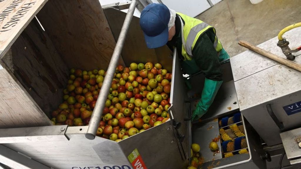 In the 'Garden of England', loss-making orchards are cut down