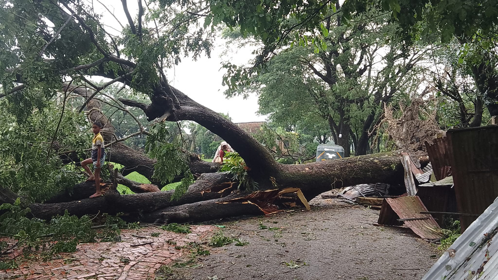 Chattogram sees heavy damage, two deaths in aftermath of Cyclone Hamoon