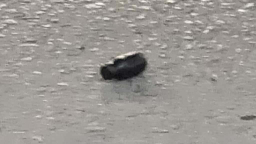 Chhatra Dal leader arrested over crude bomb blast in Uttara amid blockade