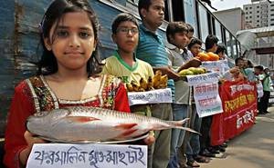 Formalin use control law approved