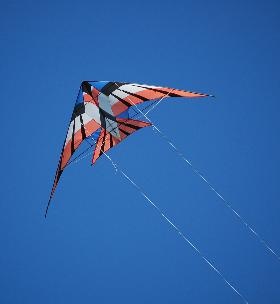 St Martin's plays host to kite festival