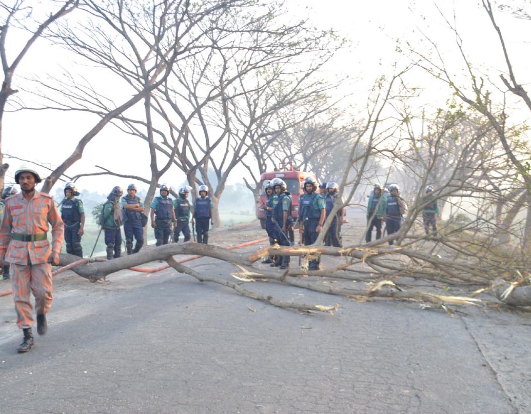 Even trees don’t escape