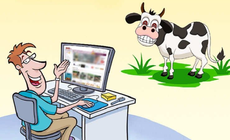 A cow is now a mouse click away