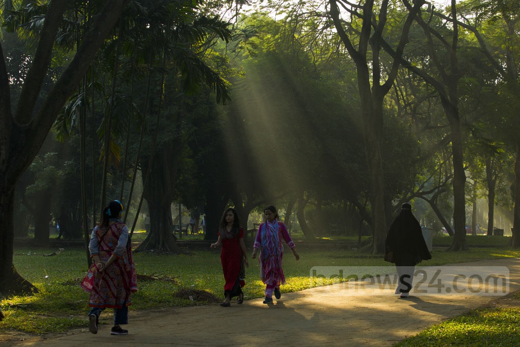 মানসিক স্বাস্থ্যের উন্নতিতে প্রকৃতির সাথে মিশে যাওয়ার পন্থা