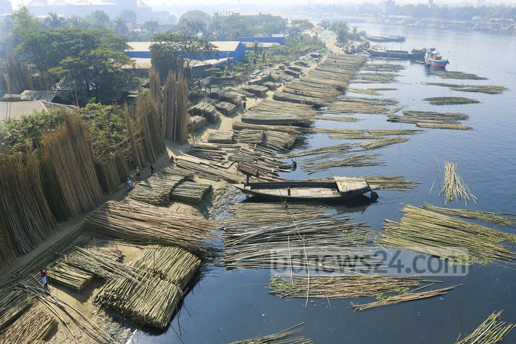 The bamboo market