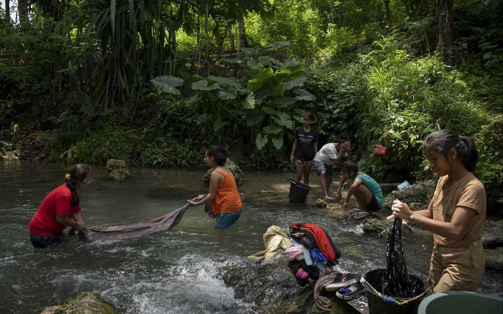 Why have the revered crocodiles of this island nation suddenly started ...