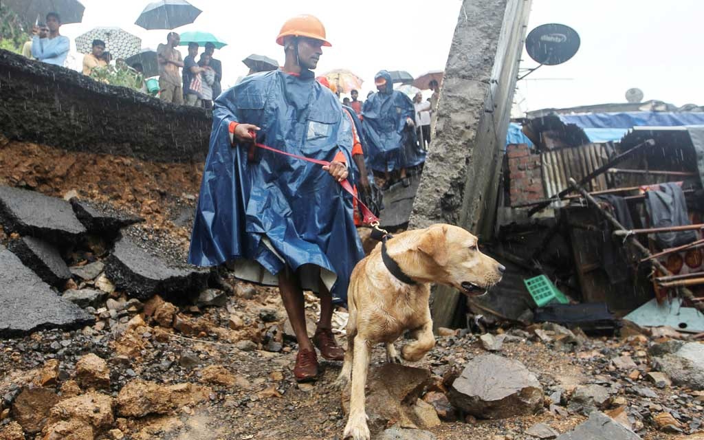 Dam bursts in India after rains, killing six
