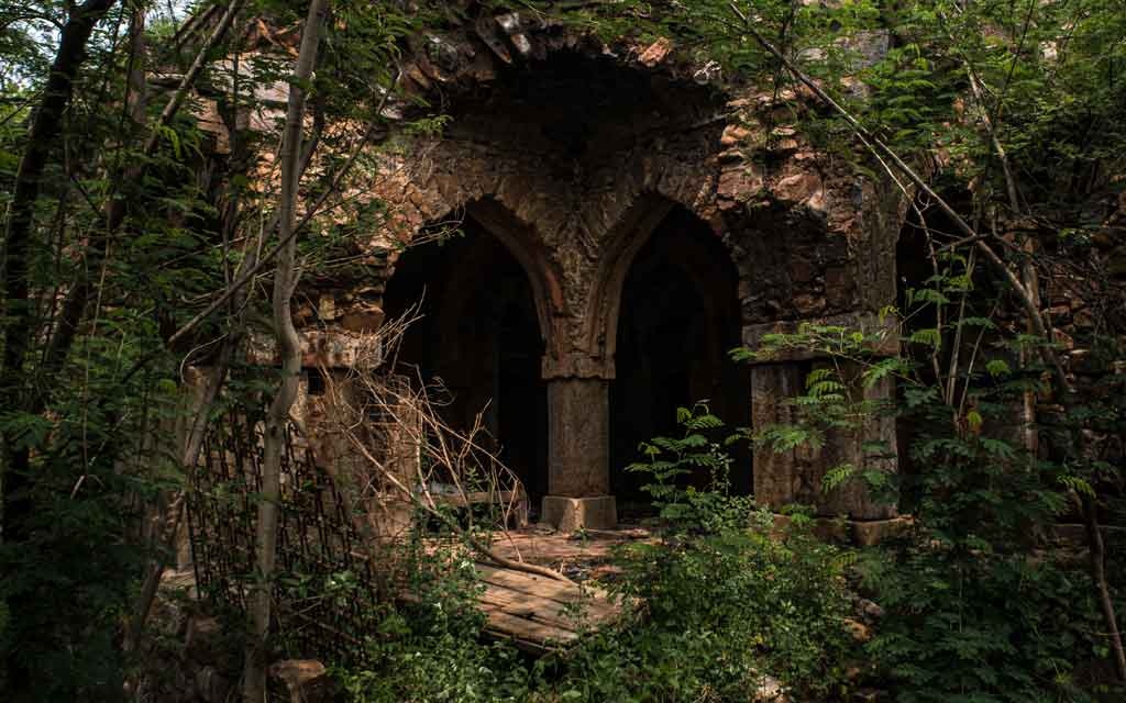 The jungle prince of Delhi