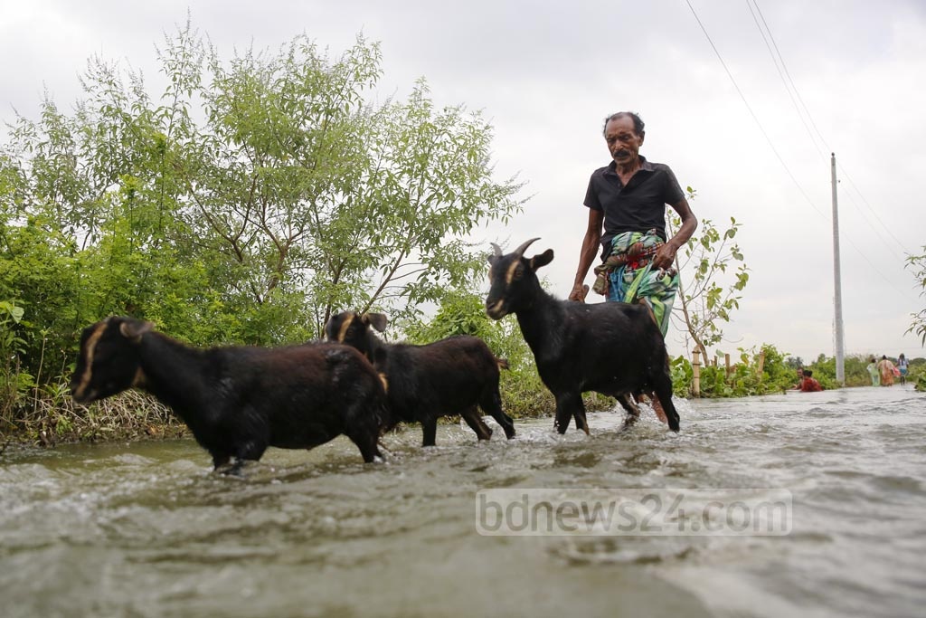 Floods in Savar low lands