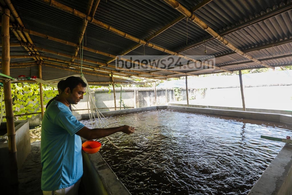 Biofloc fish farming