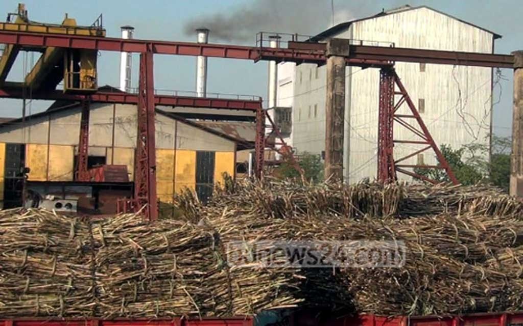 ঘুরে দাঁড়ানোর আশায় জয়পুরহাট চিনিকলে মাড়াই শুরু