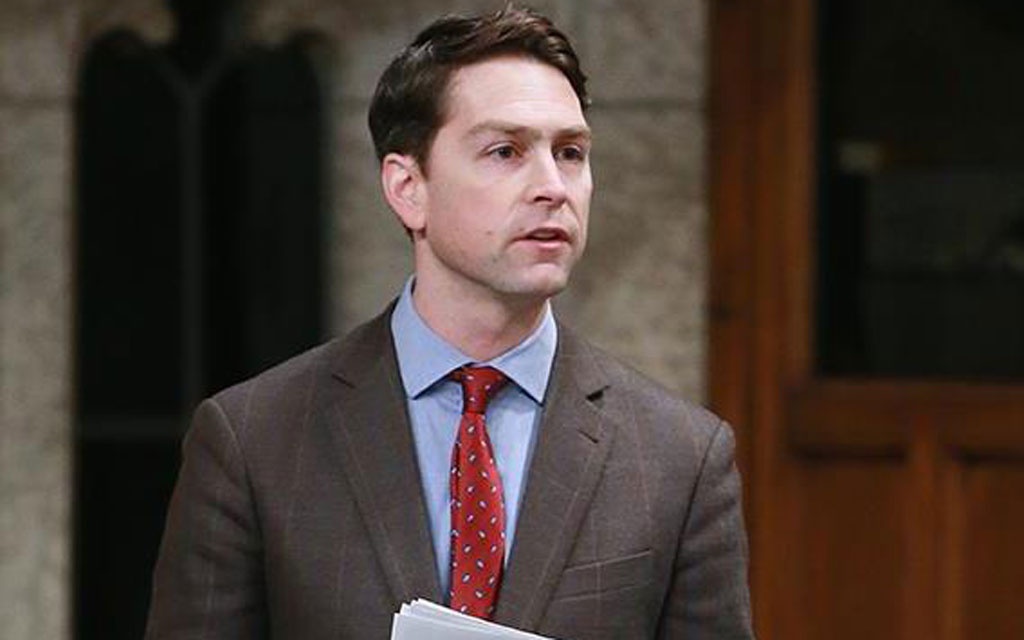 Canadian lawmaker caught urinating on virtual video stream after naked ...