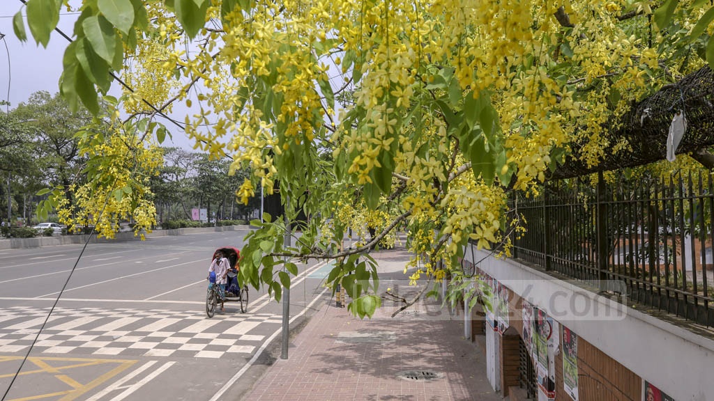 The beauty of Sonalu