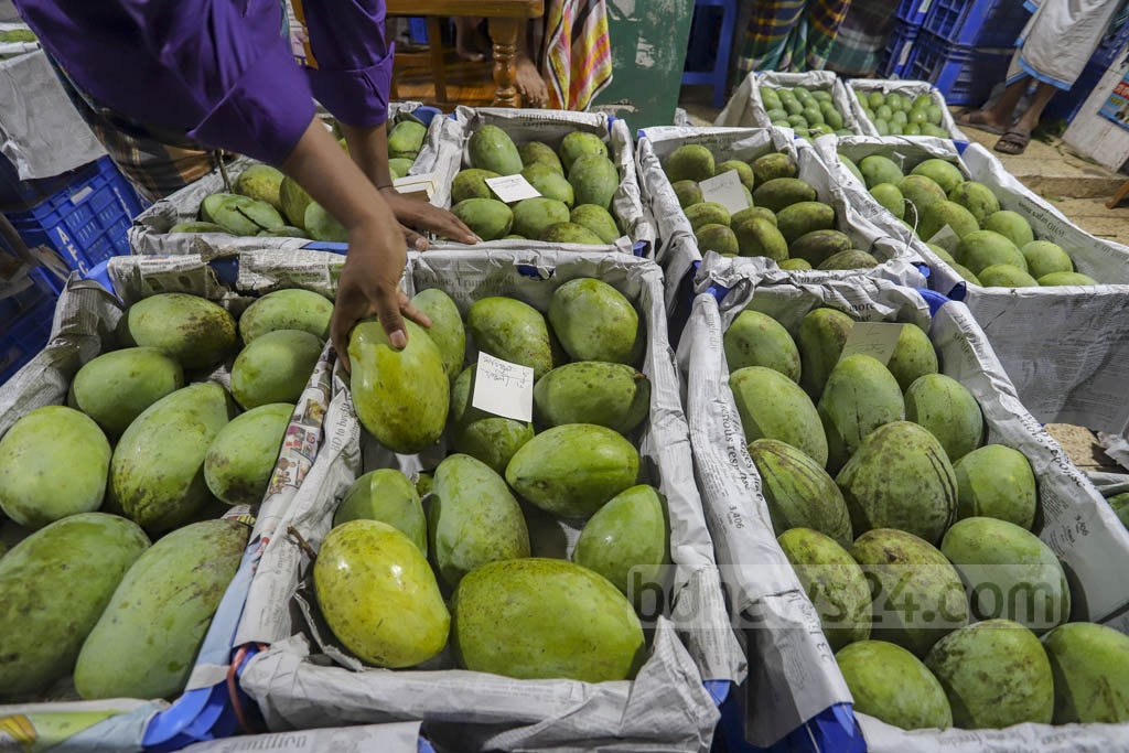 After Rajshahi, Chapainawabganj wins GI certificate of Fazli mango