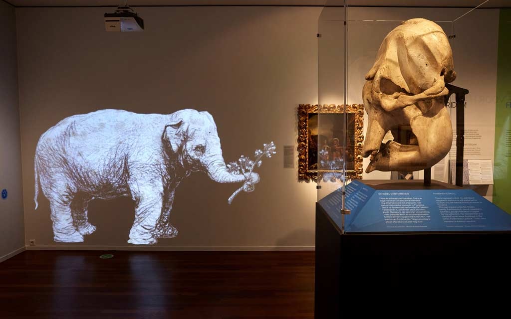 When Rembrandt met an elephant