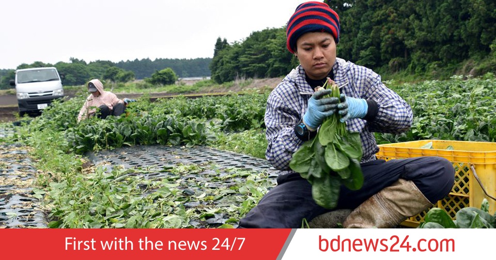 In major shift, Japan looking to accept more foreigners indefinitely