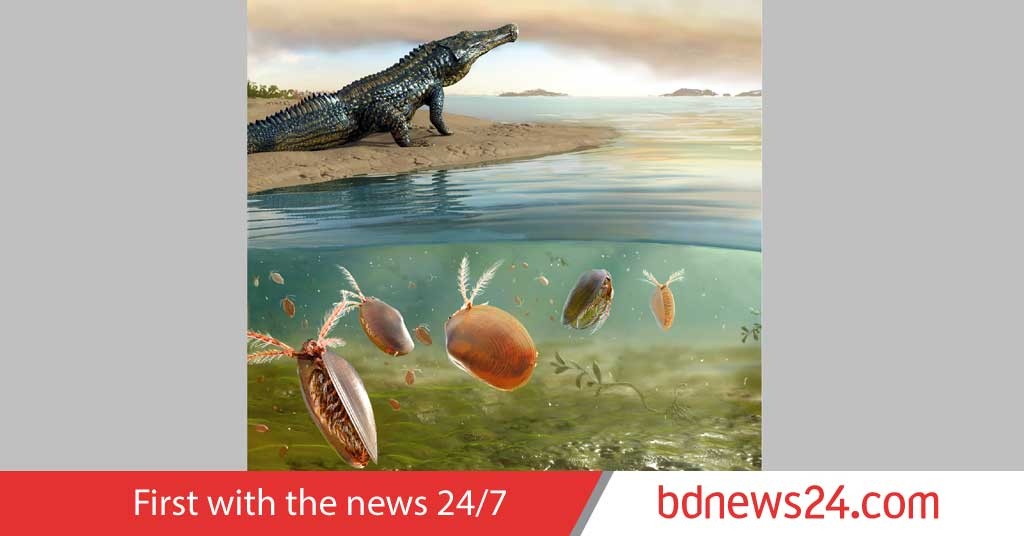 Dissolving in toxic oceans: How an ancient extinction happened