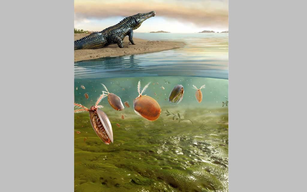 Dissolving in toxic oceans: How an ancient extinction happened
