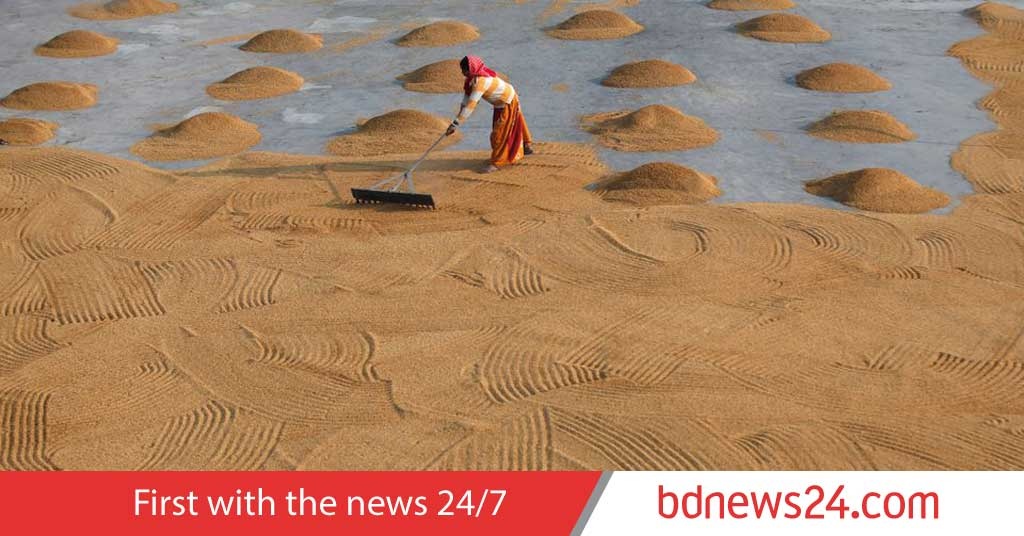 Why India holds the key to global rice market outlook