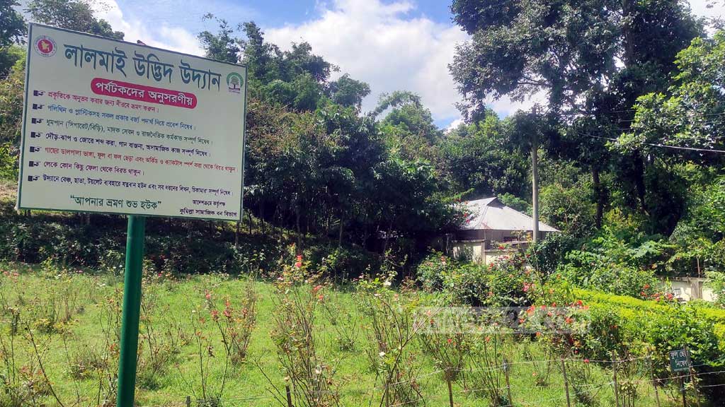 লালমাই উদ্যানে বিরল উদ্ভিদের মুগ্ধতা