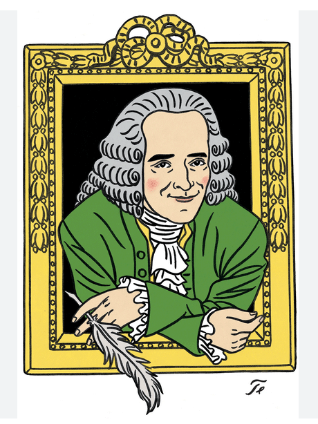 ভলতেয়ার কেন দরকার