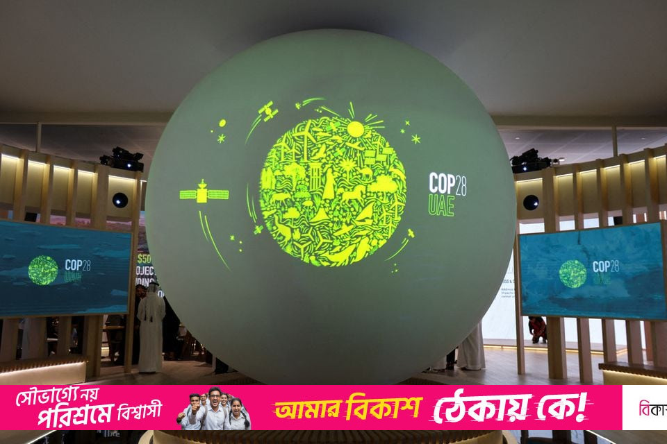 What happens at a COP climate summit?