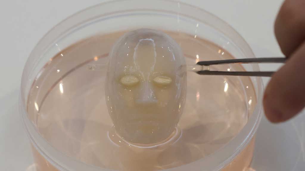 Japanese scientists make robot face 'smile' with living skin
