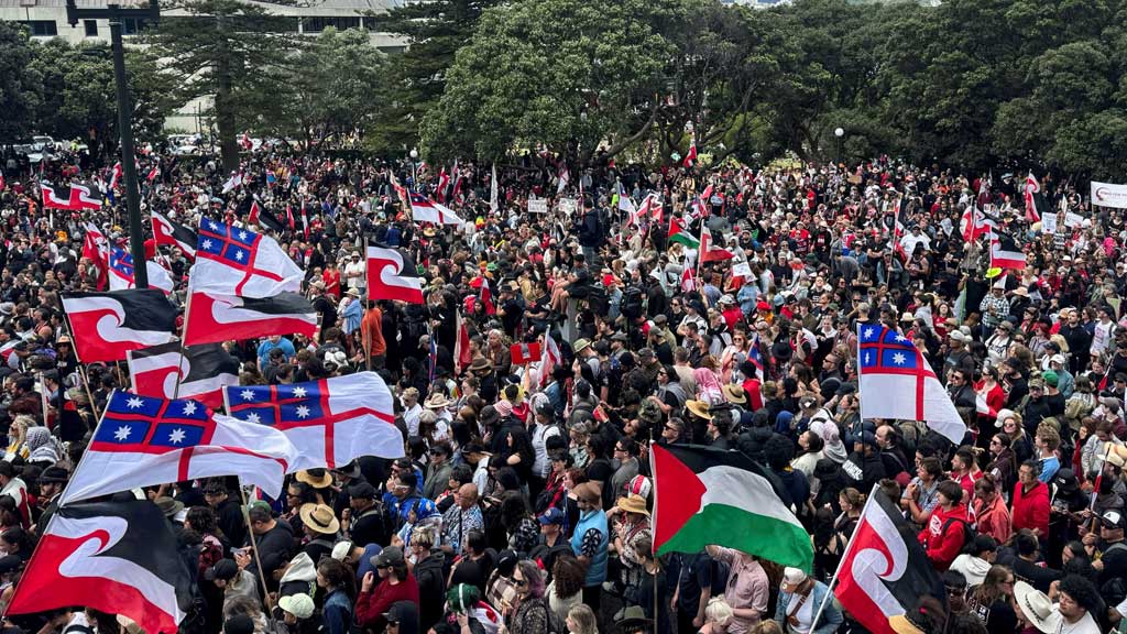 Thousands protest NZ bill rewriting Indigenous rights