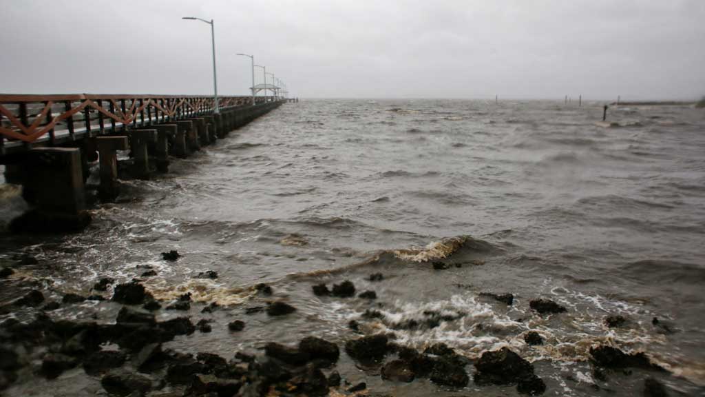 Tampa zoo animals hunkered down as Hurricane Milton nears