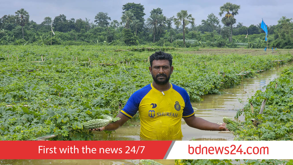 Hill runoff floods Cumilla croplands