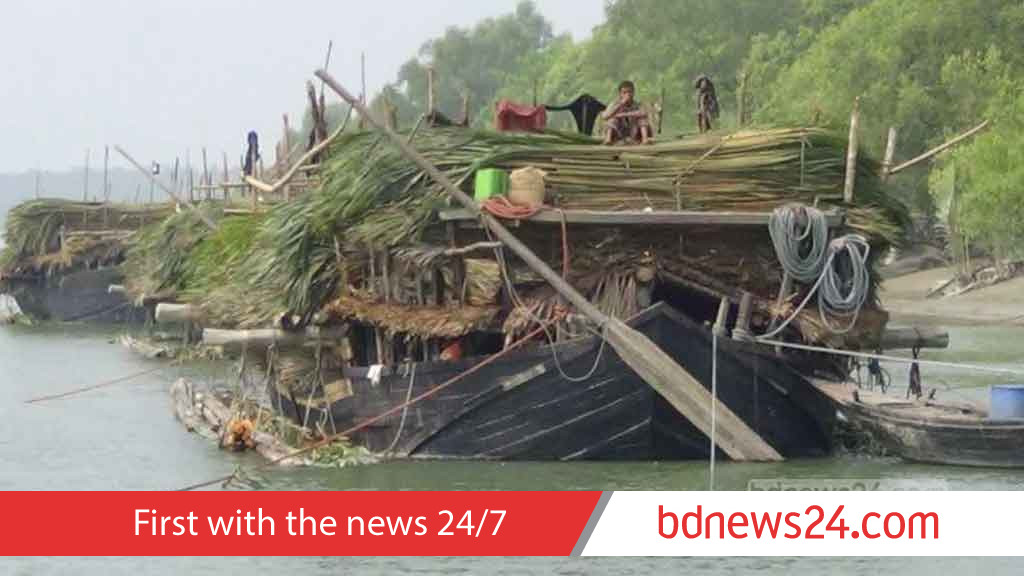 Unrestricted Golpata harvest to combat bribe rates in Sundarban