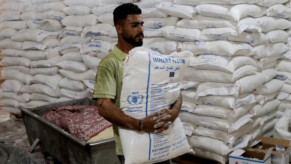 Some flour reaches Gaza as blockade eases
